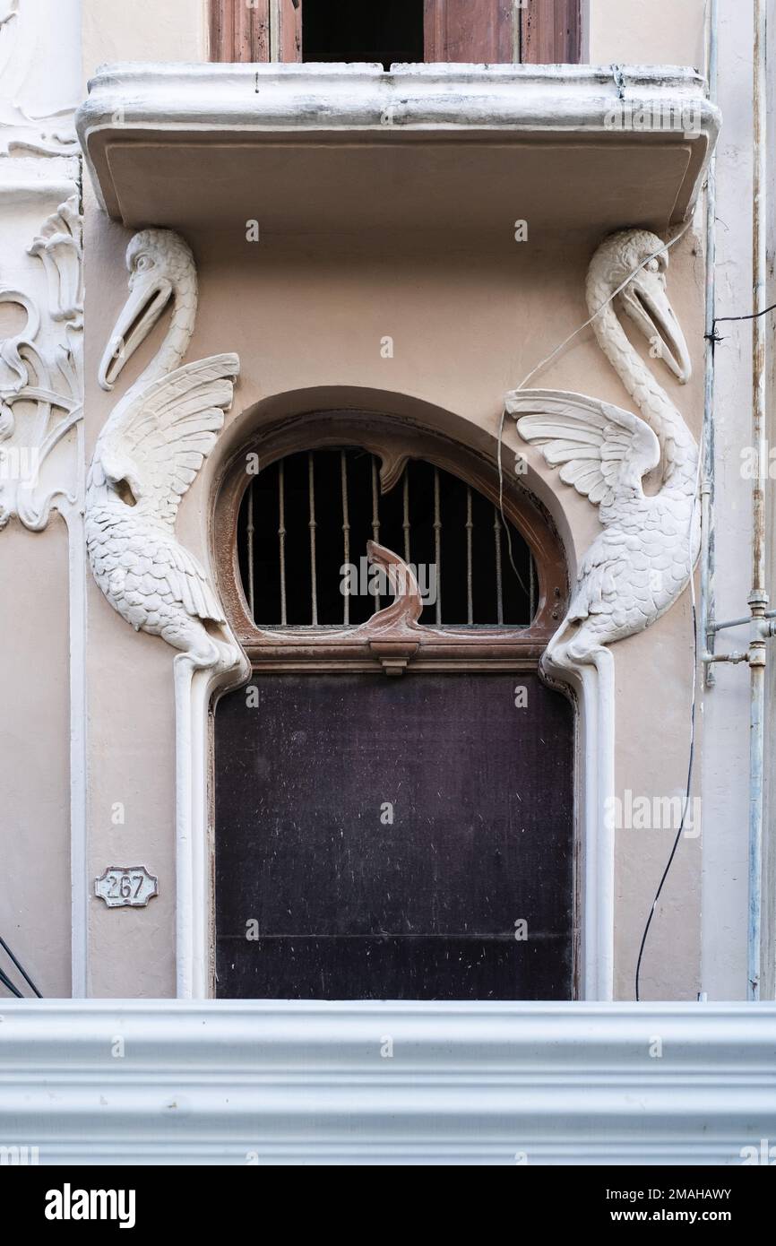 Ornate bird hi-res stock photography and images - Alamy