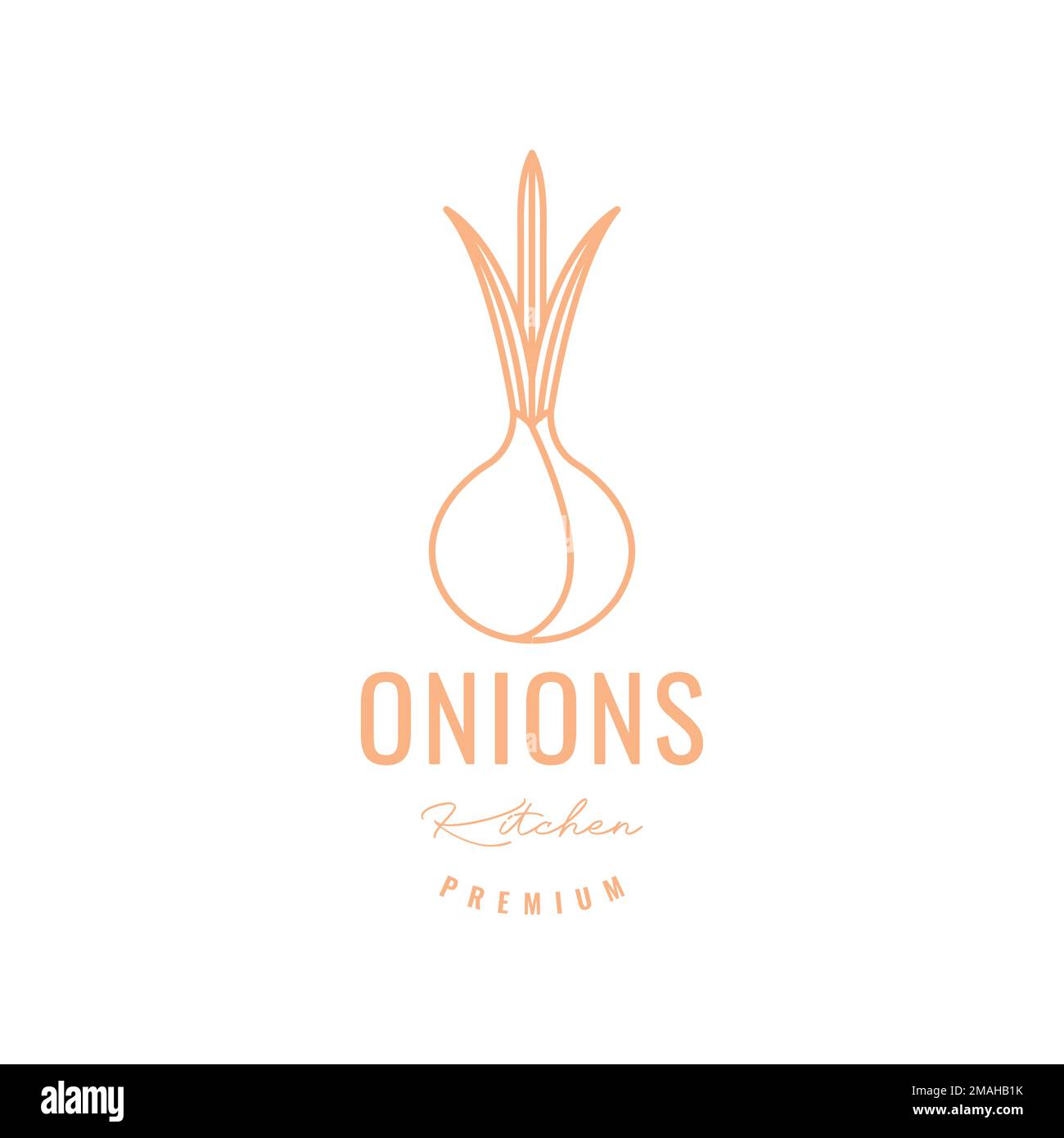 onions fresh kitchen spicy taste food cooking lines logo design vector ...