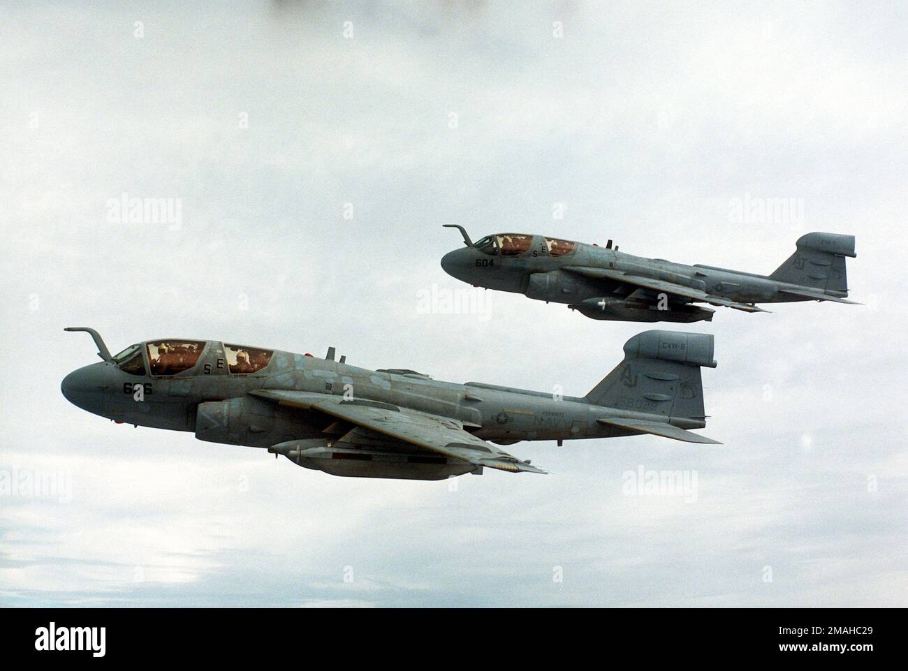 An air-to-air left side view of two Tactical Electronic Warfare ...