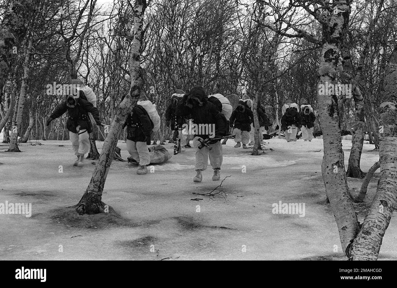 Men from Co. F, 2nd Battalion, 2nd Marines move across icy terrain ...