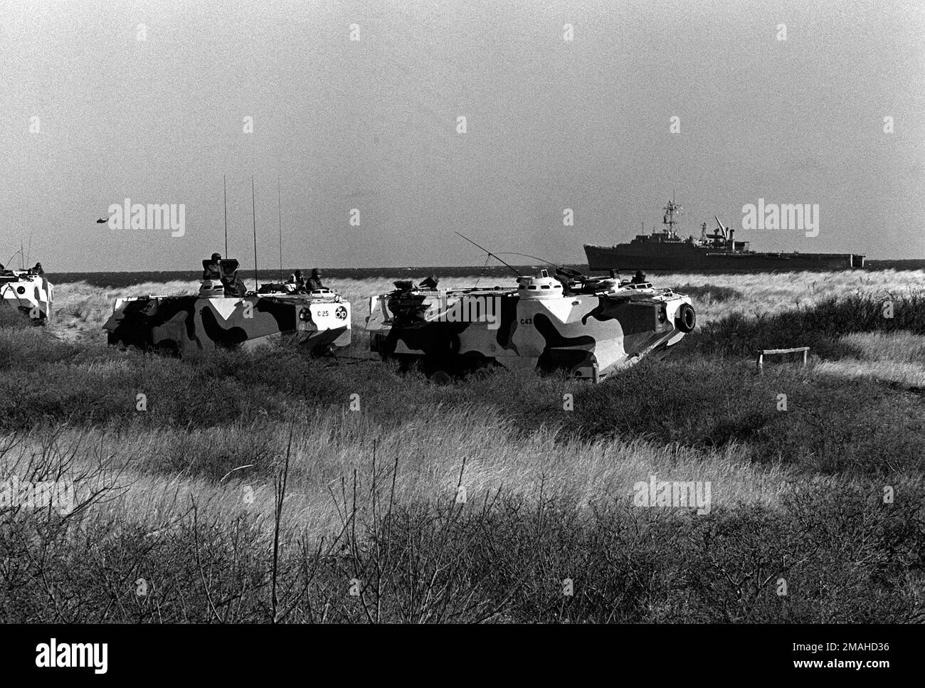 LVTP-7 tracked landing vehicles form a convoy after their landing on ...