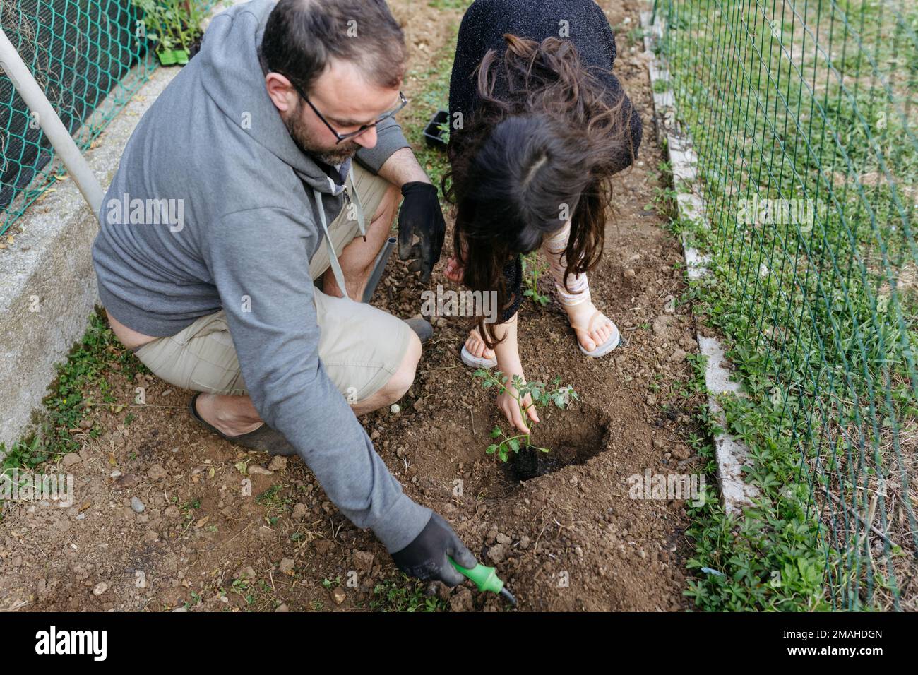 upper view on father and daughter with long hair planting together ...