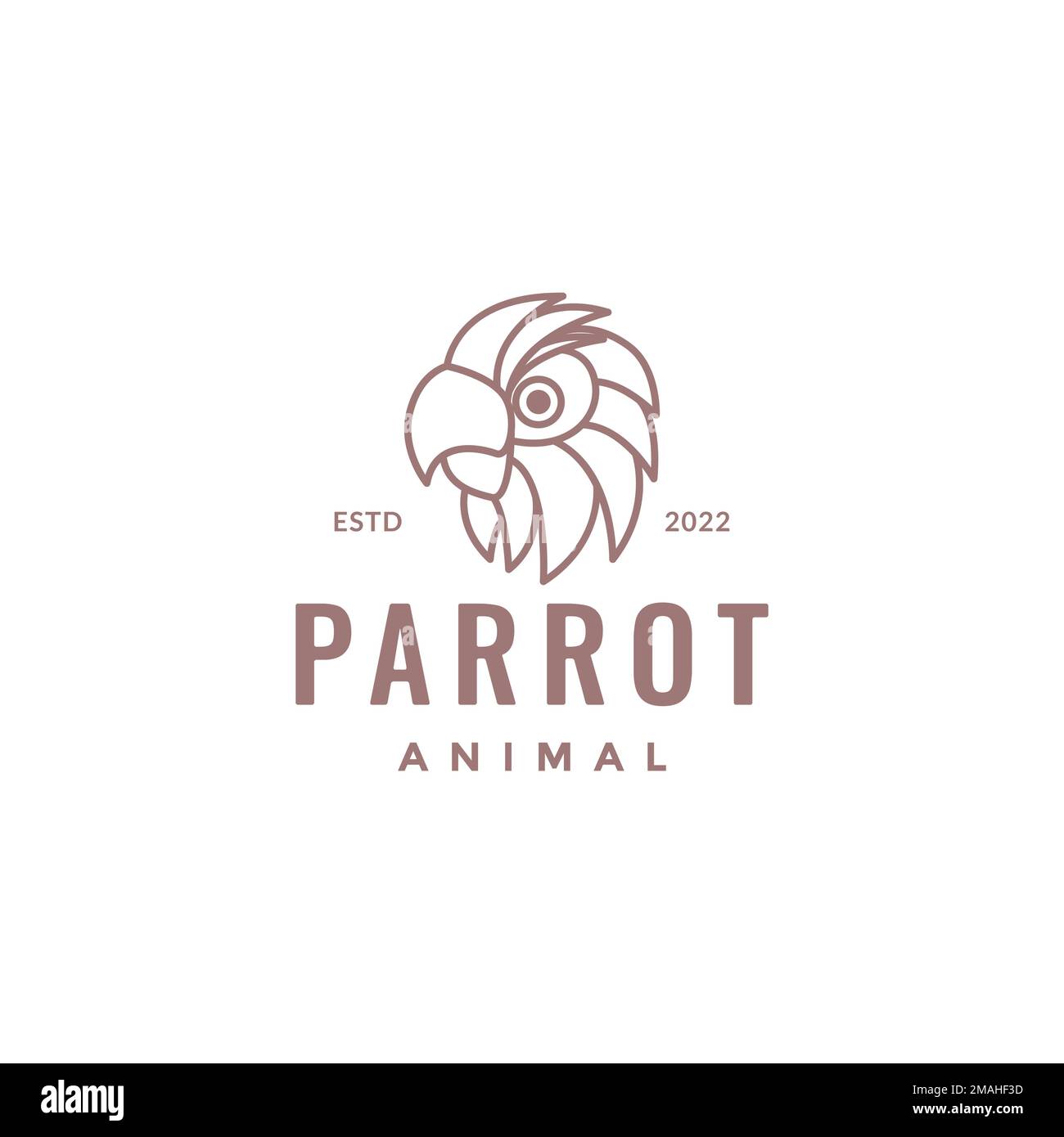 parrot bird beauty exotic head line feathers and strong beak hipster ...