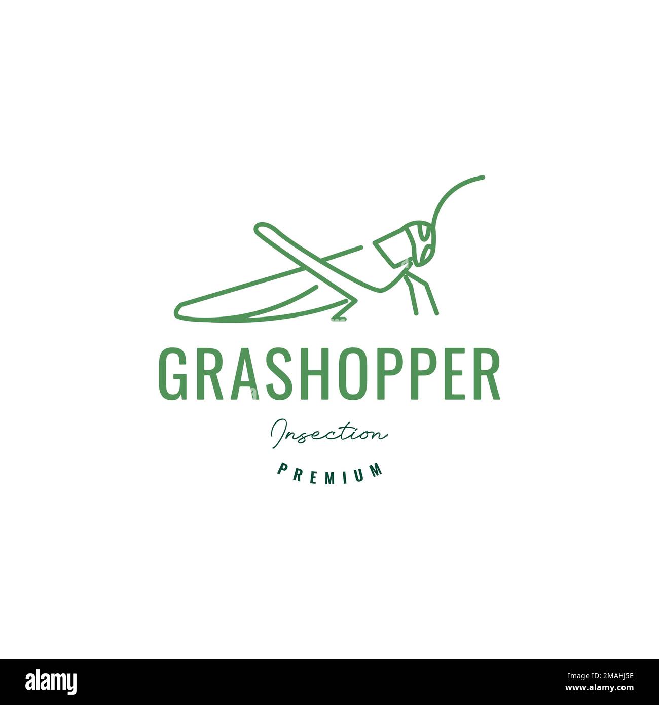 Camouflaged grasshopper Stock Vector Images - Alamy