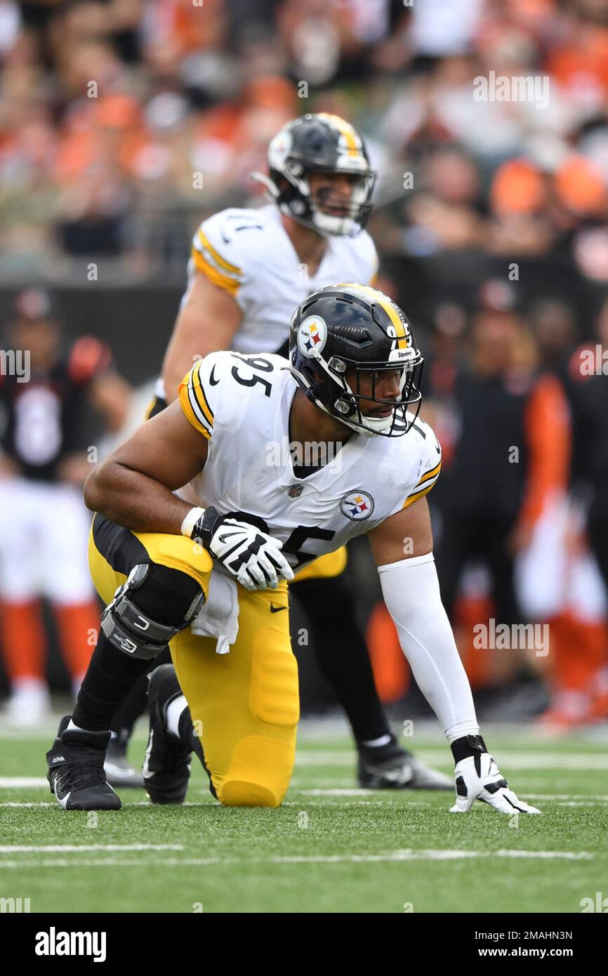 Pittsburgh Steelers defensive tackle Chris Wormley (95) lines up for ...