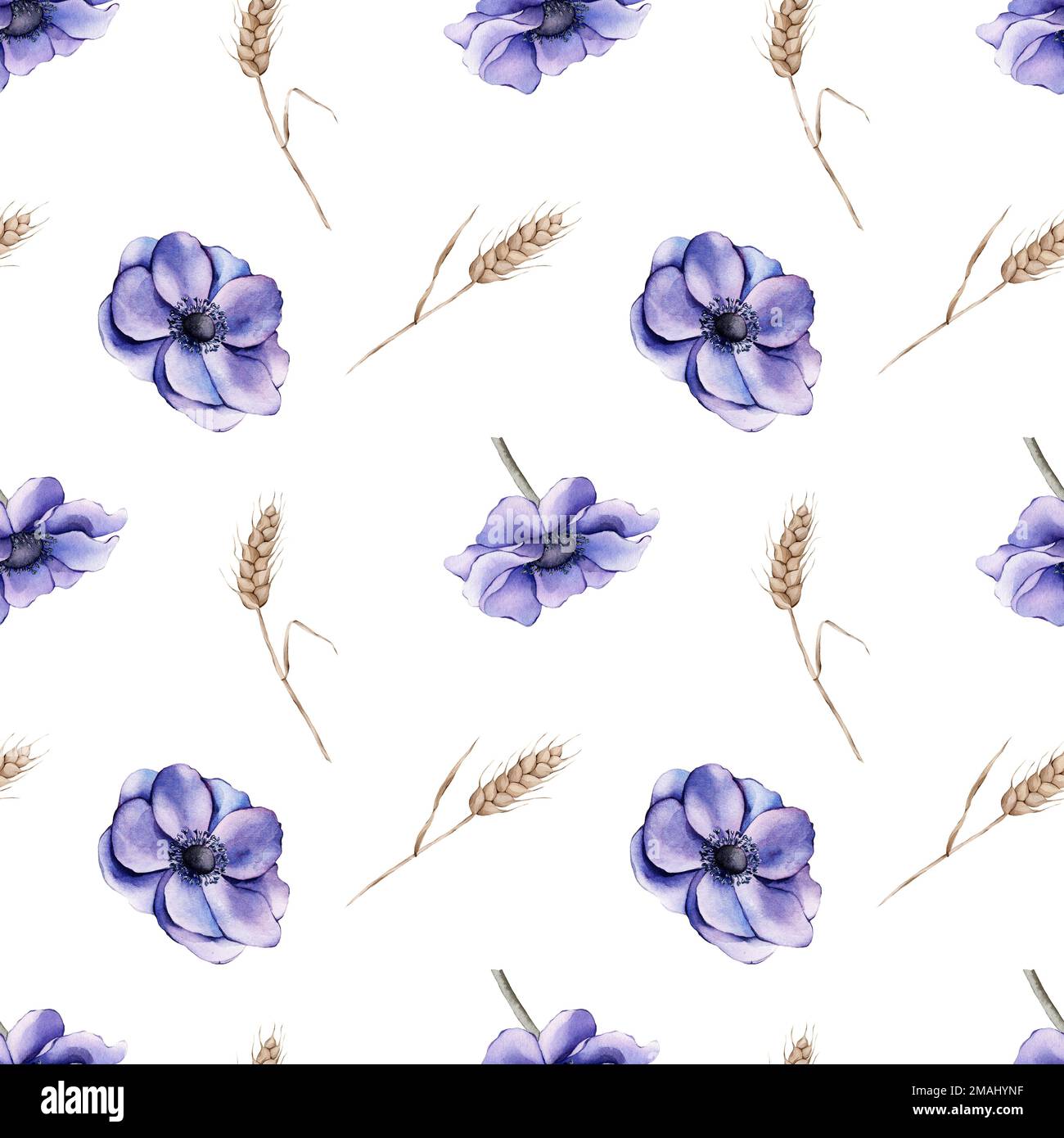 Seamless wheat spikelet pattern, purple anemones. Watercolor herbal ...
