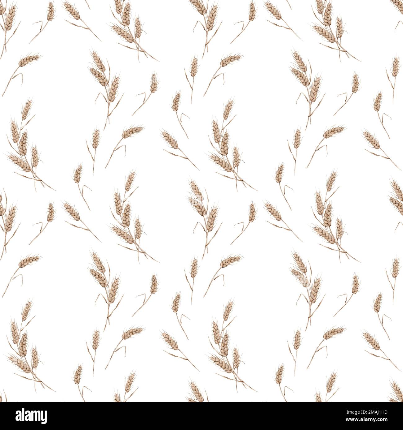 Seamless wheat spikelet pattern. Watercolor herbal background with ...