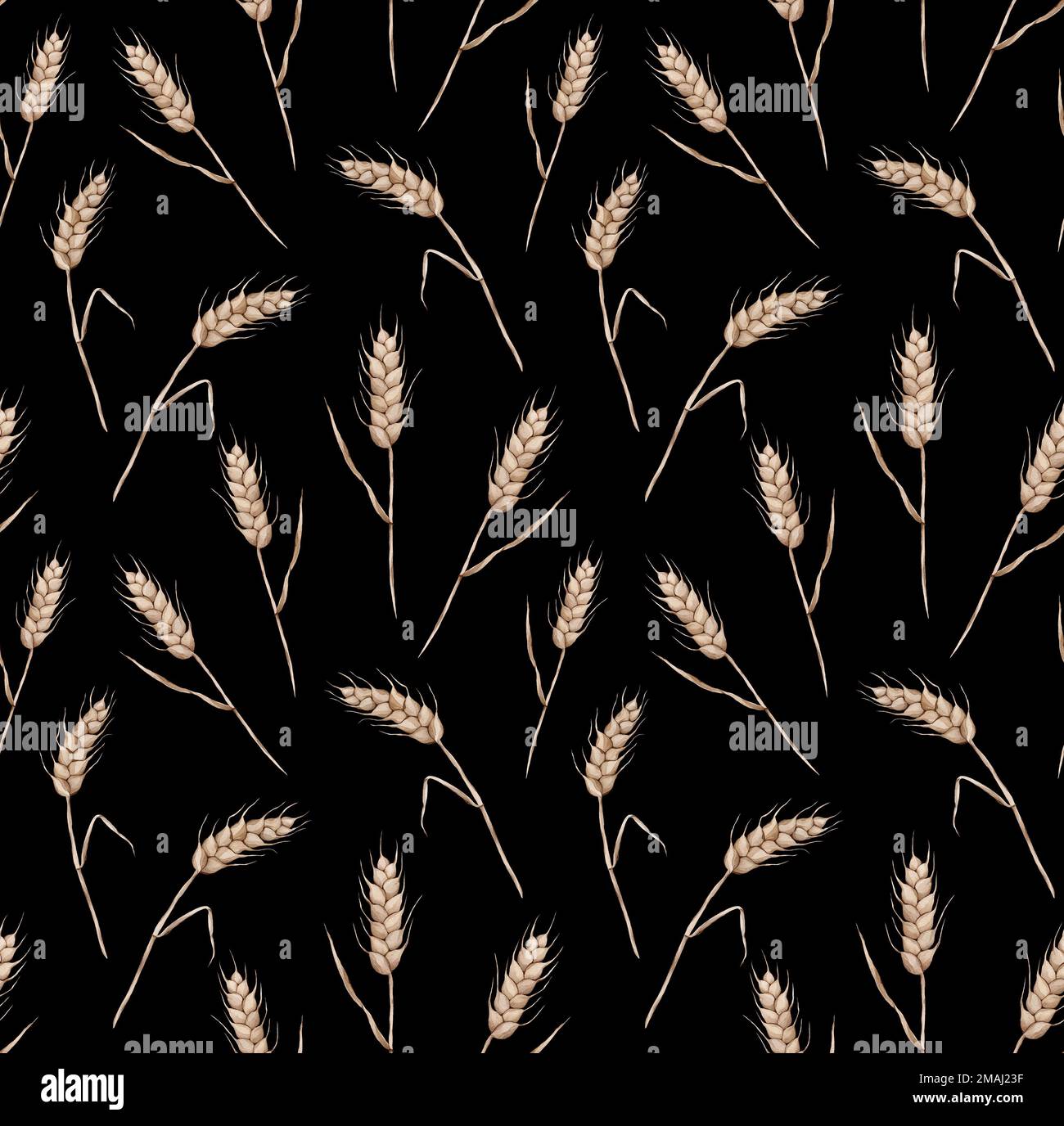 Seamless wheat spikelet pattern. Watercolor herbal background with ...