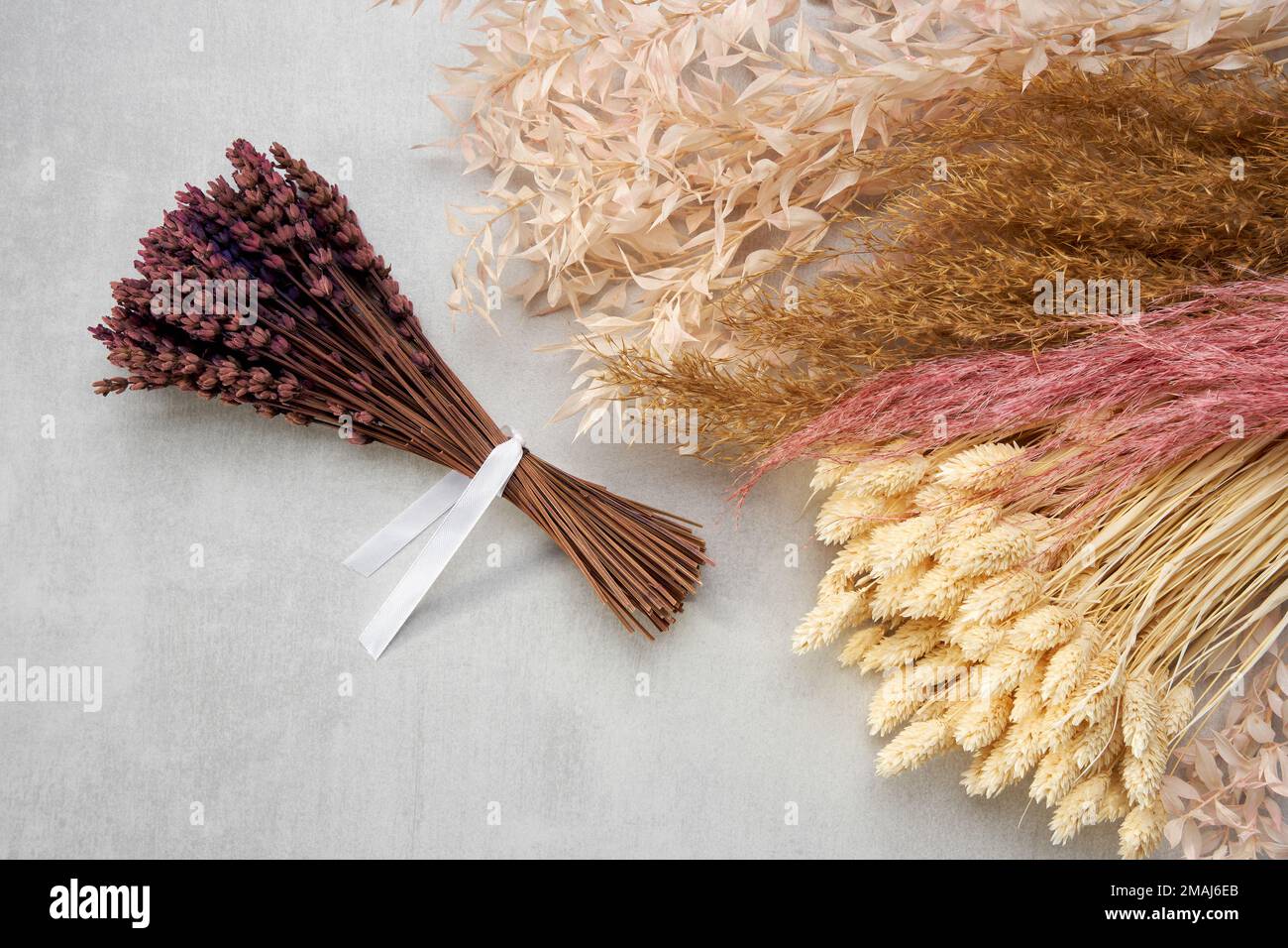 A tied bundle of dried lavender. Dried plants, flowers and spikelets ...