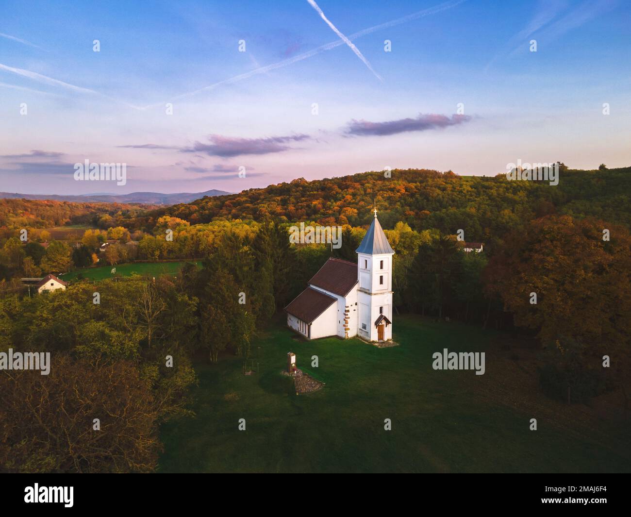Aerial photo of St. Martin's Roman Catholic Church with trees and ...