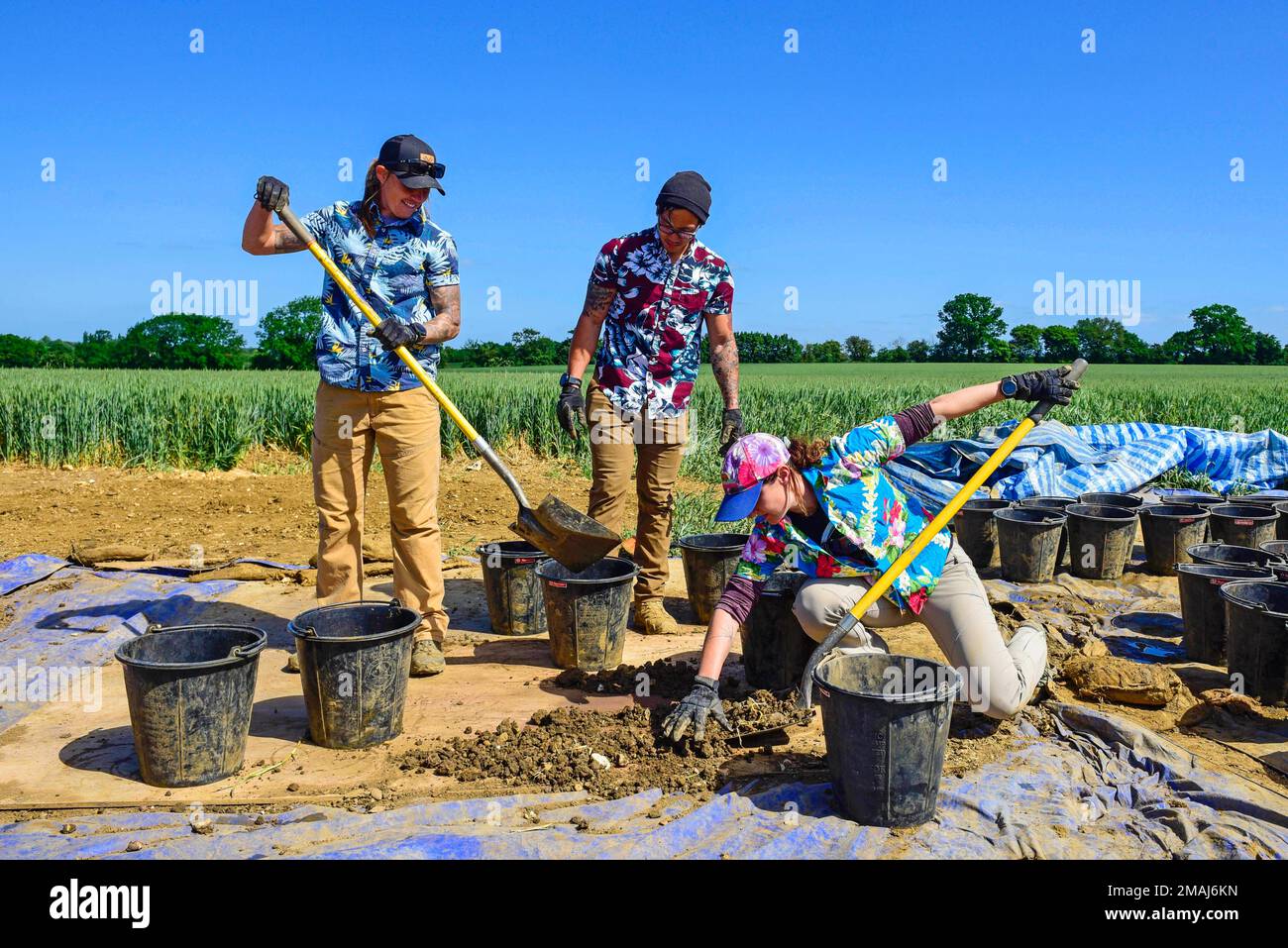 Members of a Defense POW/MIA Accounting Agency (DPAA) recovery team put ...