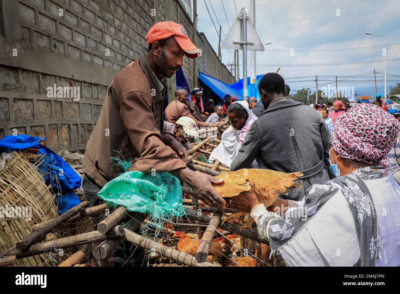 A man sells chickens in Sholla Market, the day before the Ethiopian New ...