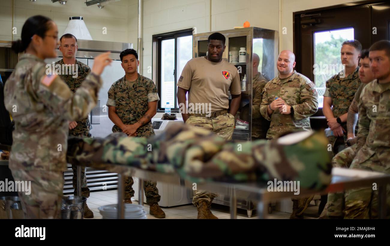 U.S. Air Force and Marine Corps military working dog handlers learn ...
