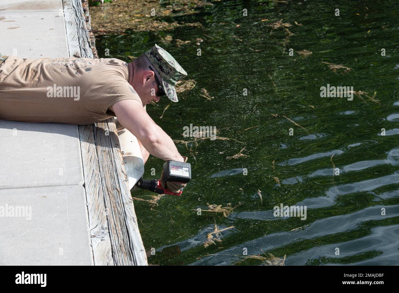 James whitehead hi-res stock photography and images - Alamy
