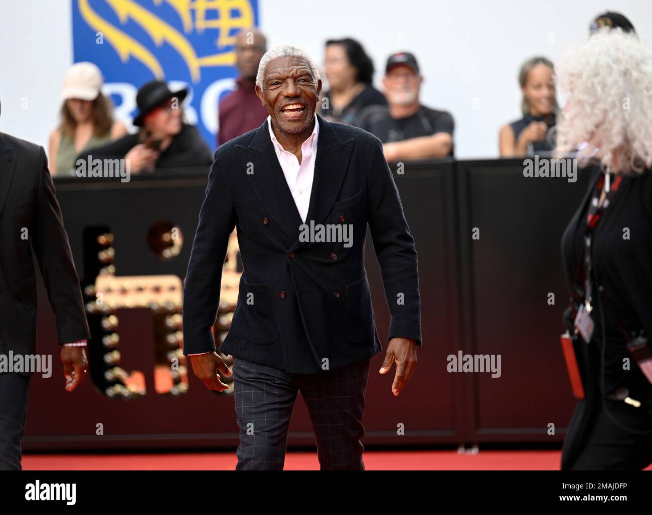 Vondie Curtis Hall attends the premiere of "Raymond & Ray," at Roy ...