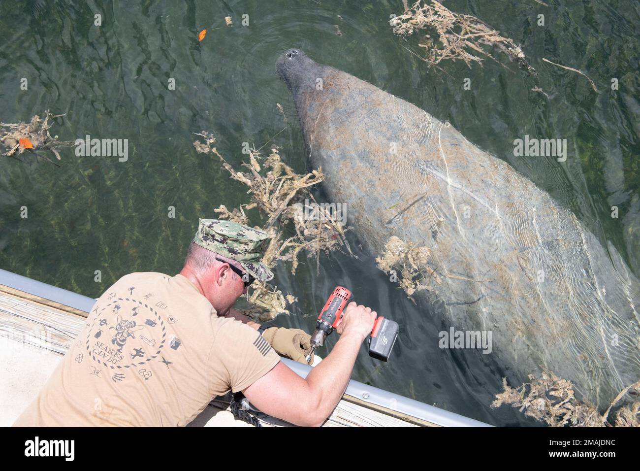 James whitehead hi-res stock photography and images - Alamy