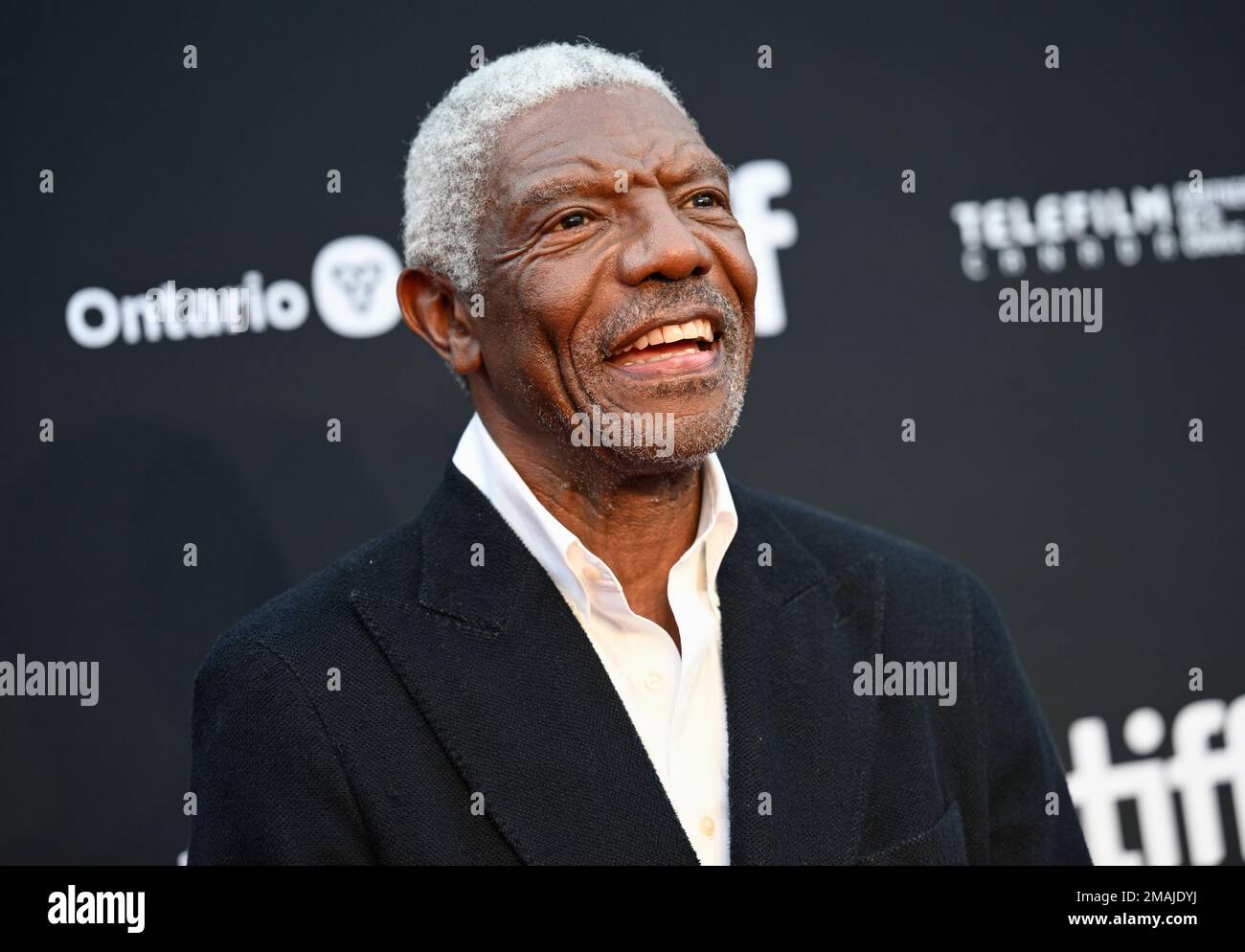 Vondie Curtis Hall attends the premiere of "Raymond & Ray" at Roy ...