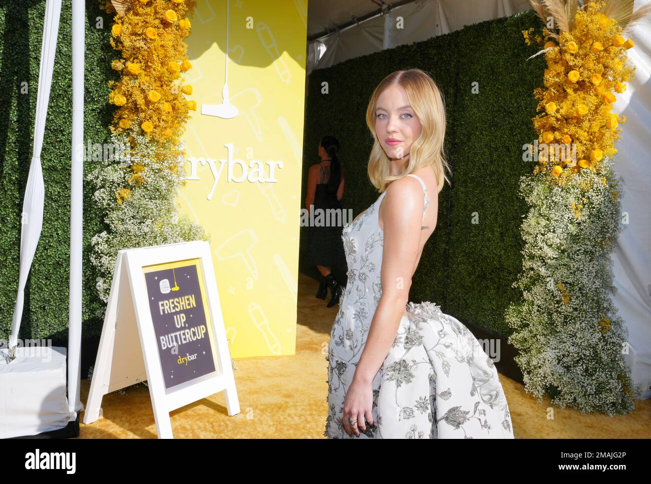 Dry Bar celebrates Sydney Sweeney and this year's Emmy nominees on the ...