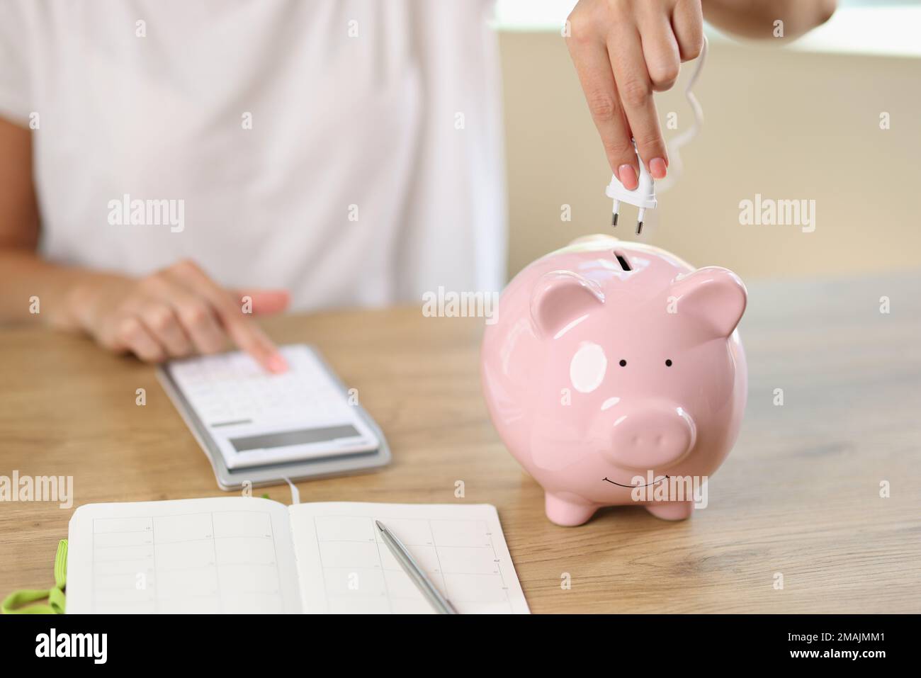 Woman connects electric plug to piggy bank and counting money on ...