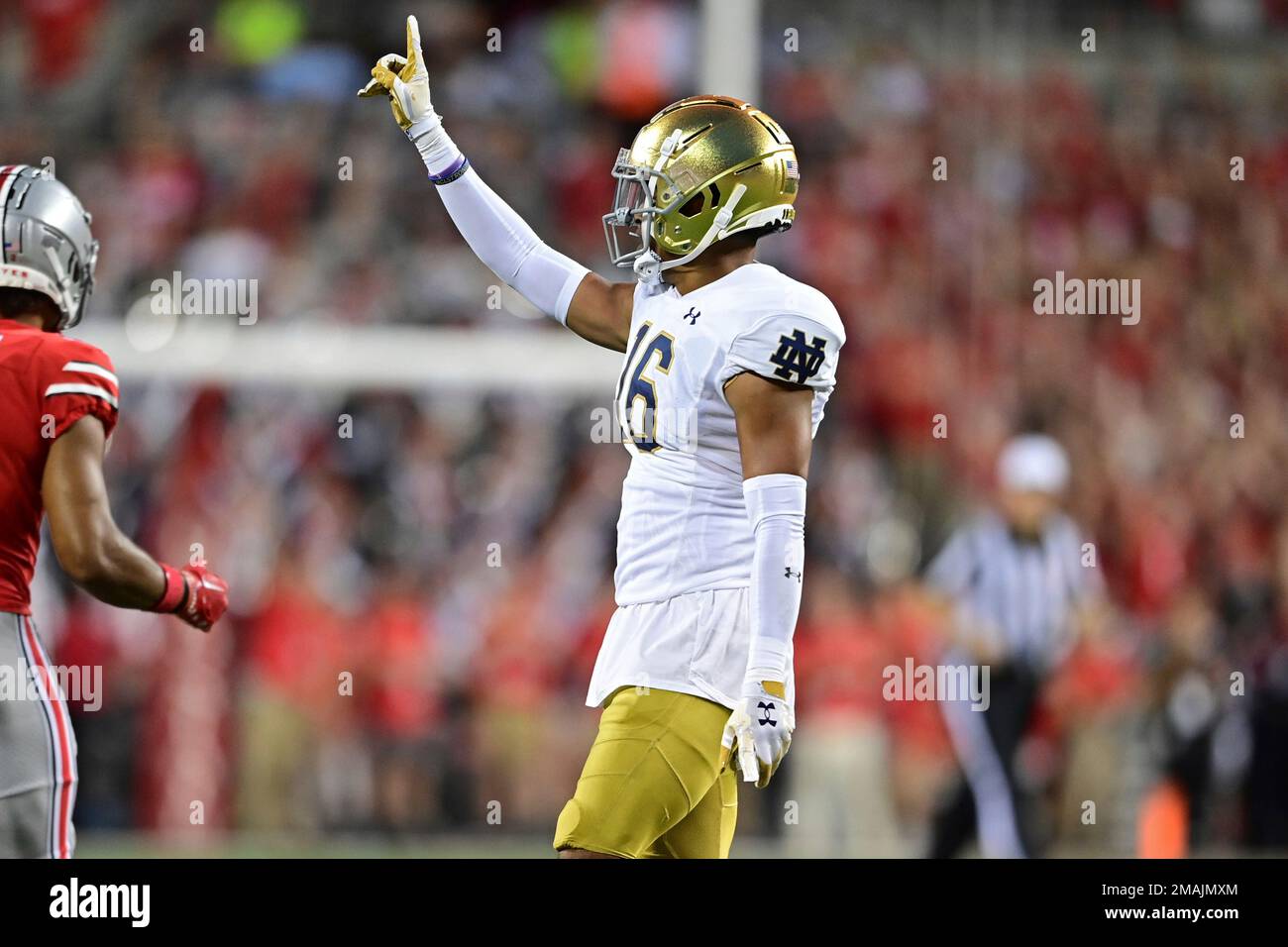 Notre Dame safety Brandon Joseph celebrates during the first quarter of ...