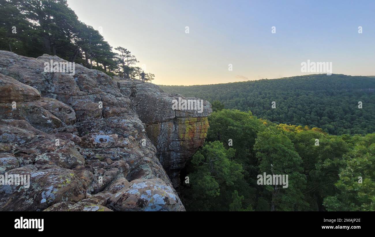 A beautiful view of a cliff with trees in a forest under the clear sky ...