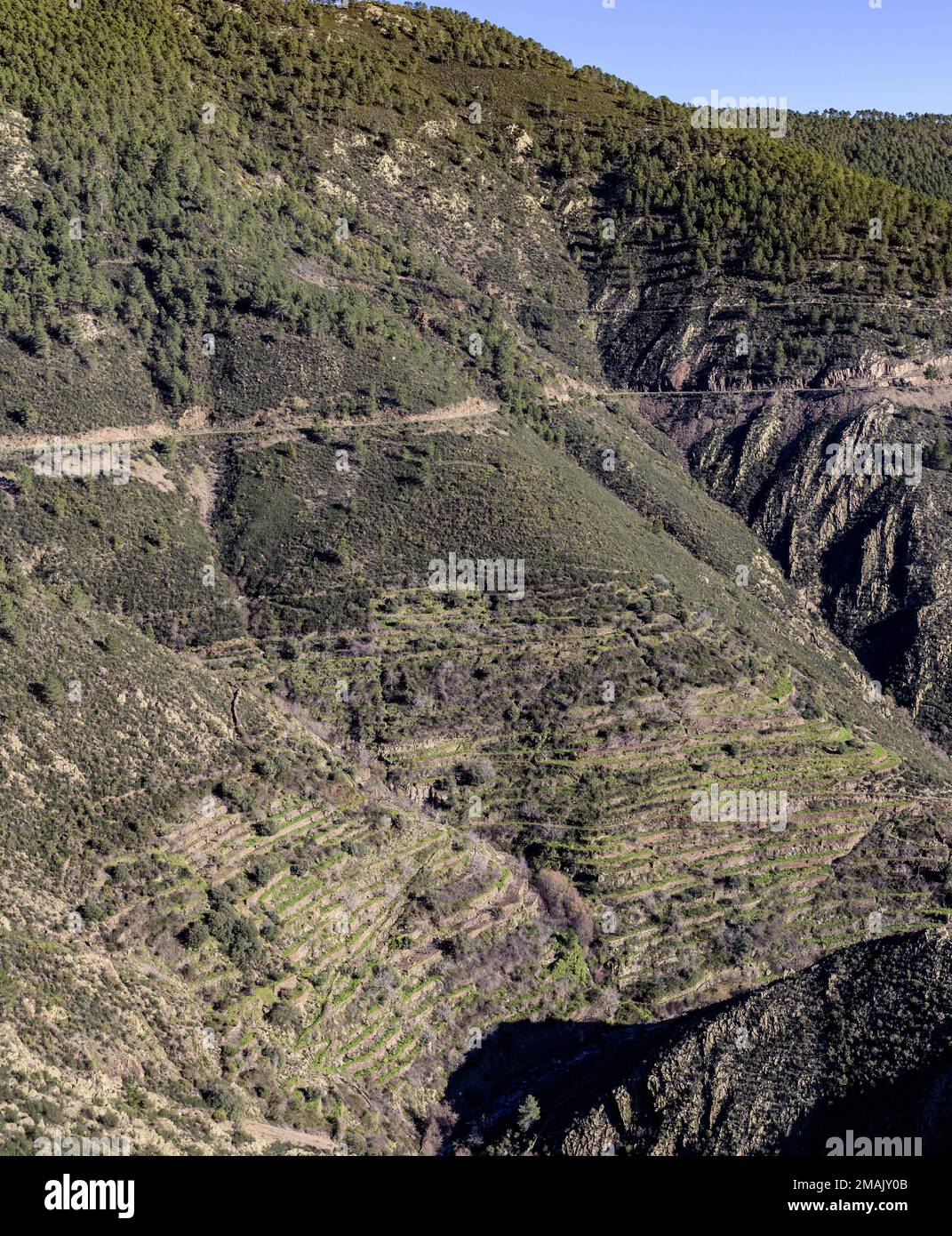 Ladera de la montaña hi-res stock photography and images - Alamy