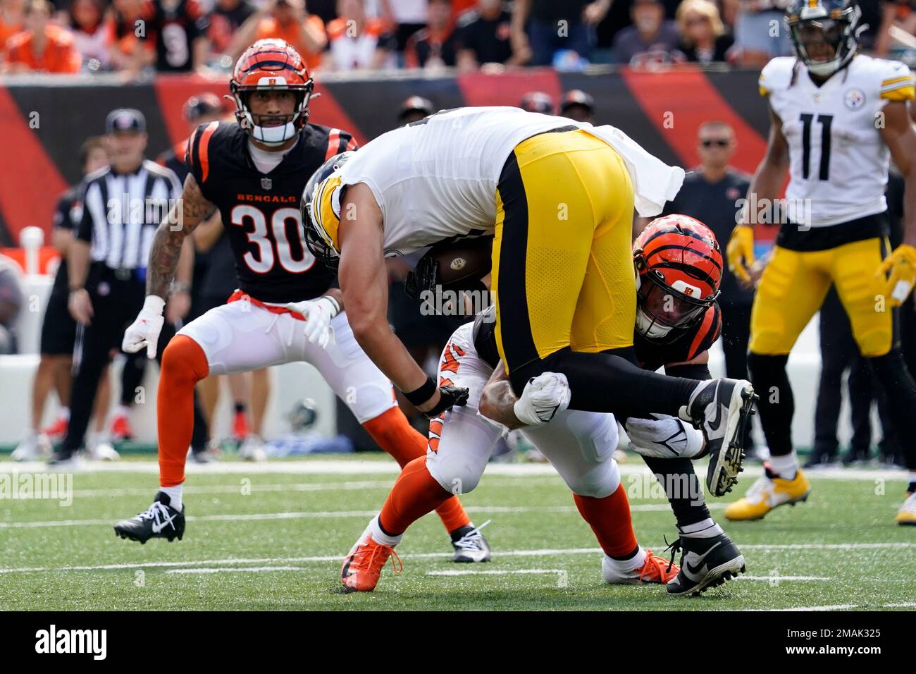 Cincinnati Bengals linebacker Logan Wilson (55) tackled Pittsburgh ...