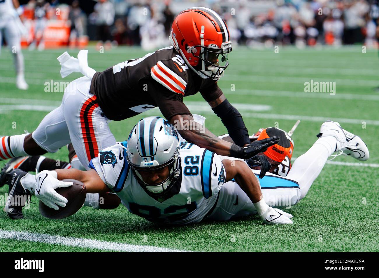 Carolina Panthers tight end Tommy Tremble is tackled at the goal line ...