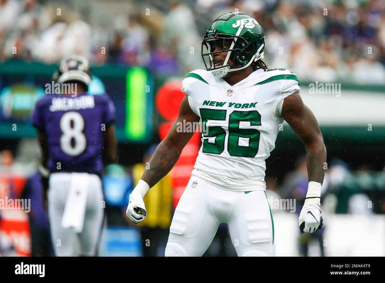 New York Jets linebacker Quincy Williams (56) reacts as Baltimore ...