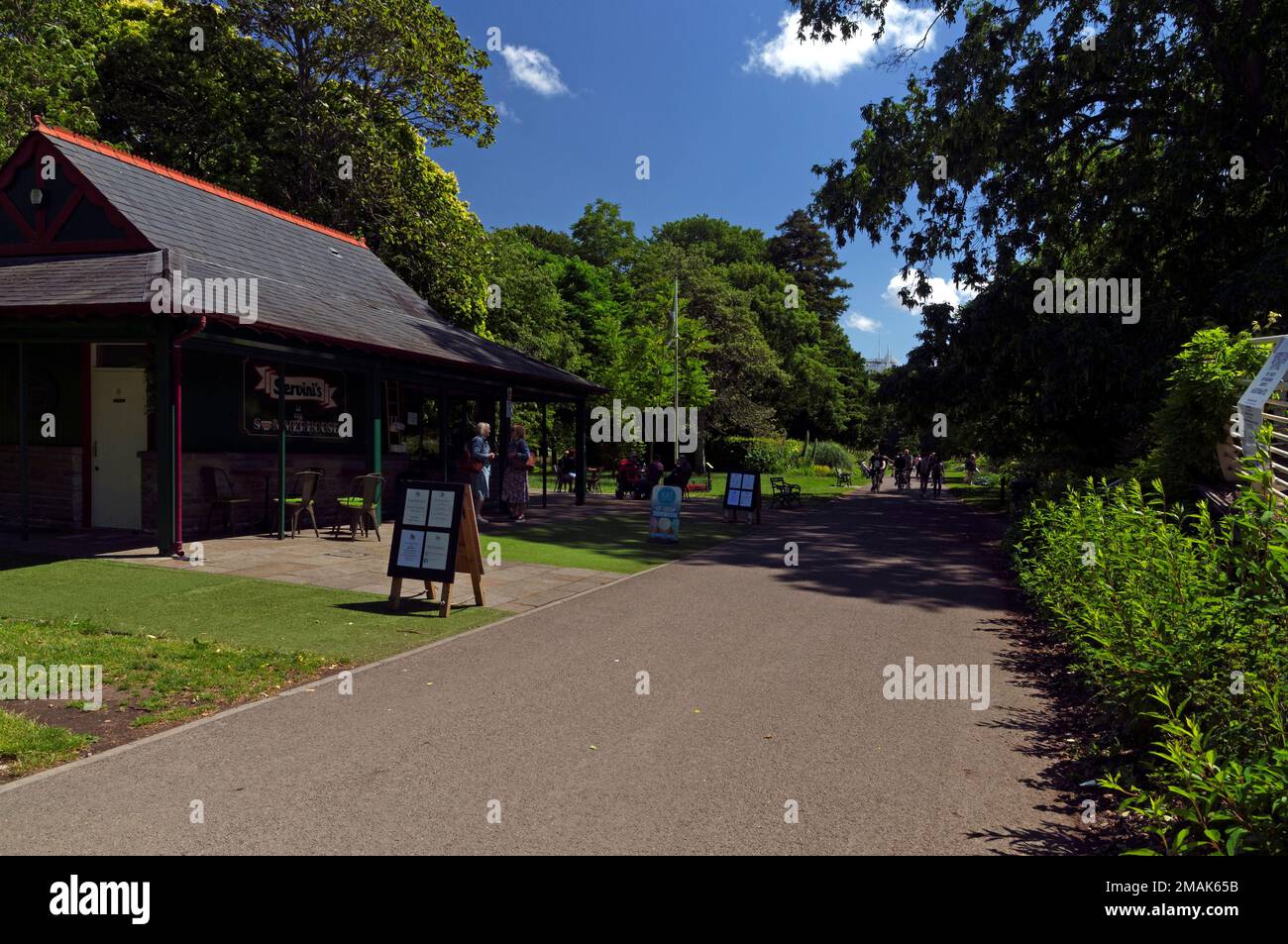 Bute Park, Cardiff. summer 2022. July. cym Stock Photo - Alamy