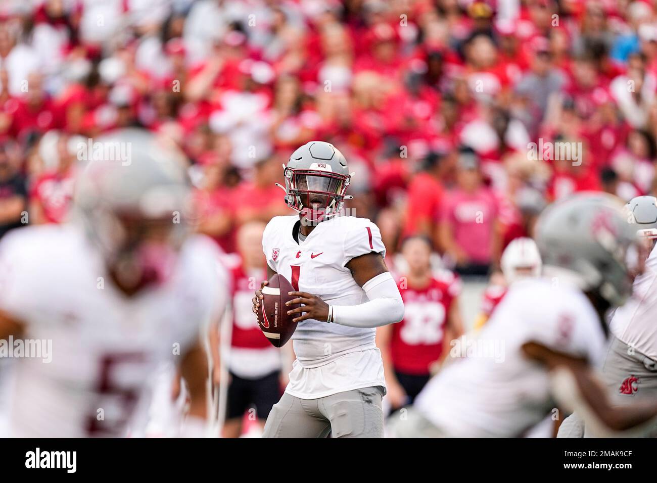 Washington State quarterback Cameron Ward (1) looks to pass against ...
