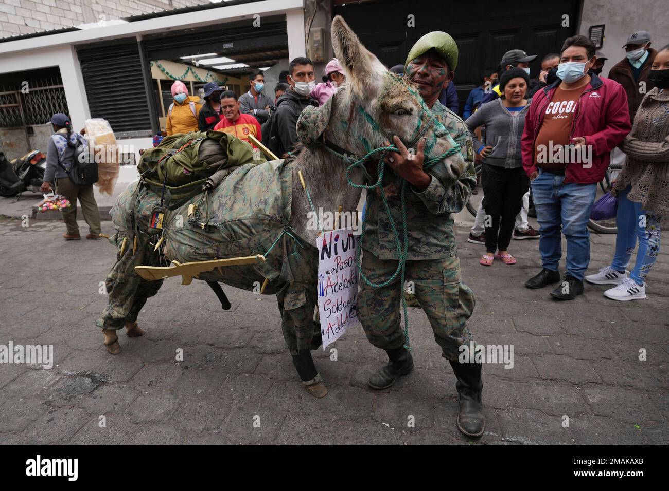 A horseman and his donkey dressed in military costumes wait for the ...