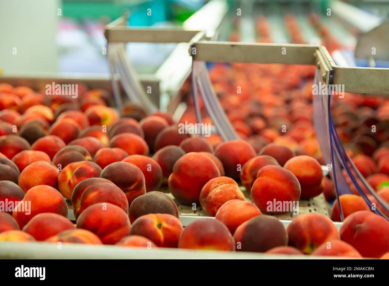 Peach belt hi-res stock photography and images - Alamy