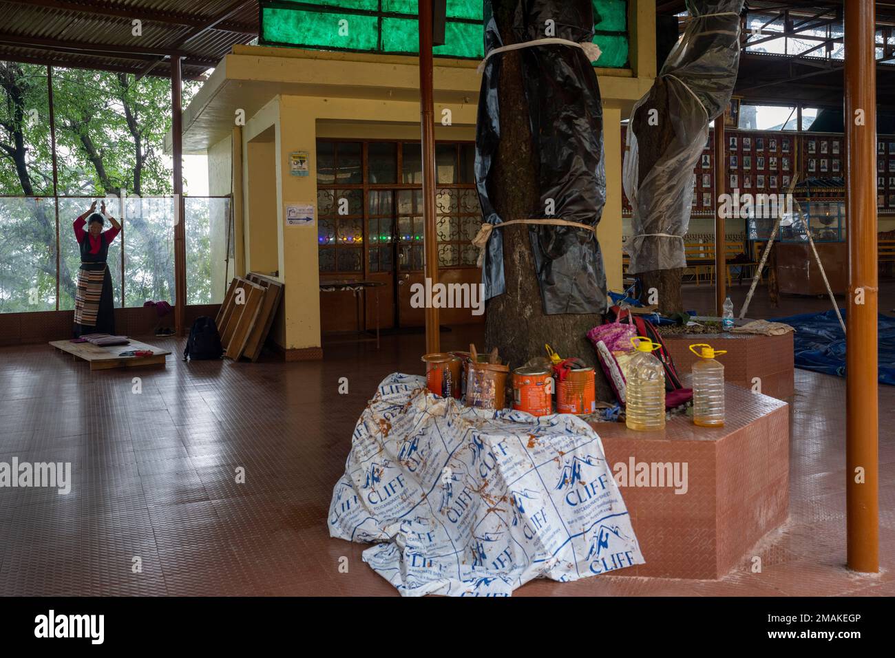 A tree is wrapped up in plastic to protect it from construction dust ...