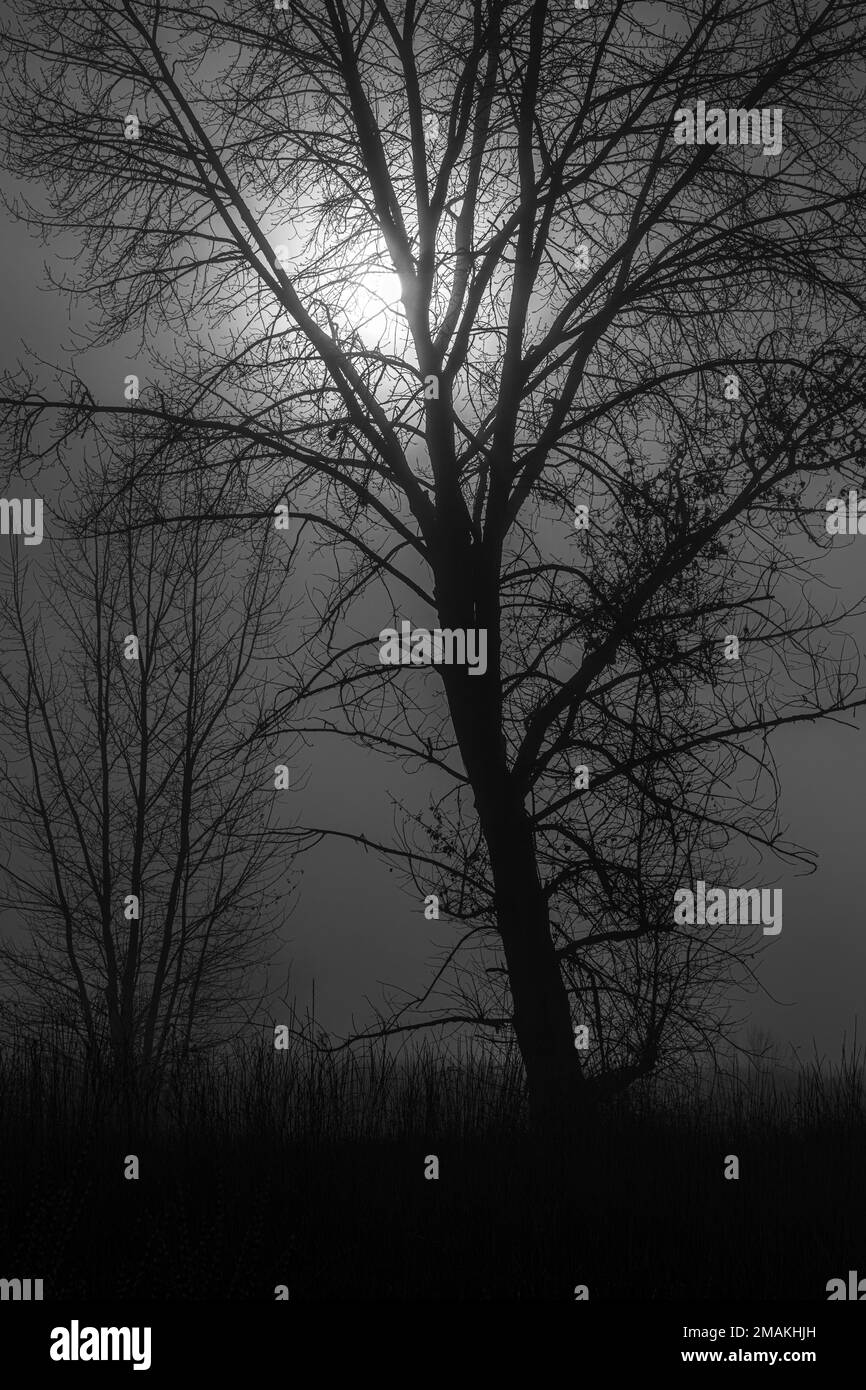 Sunset washington state Black and White Stock Photos & Images - Alamy