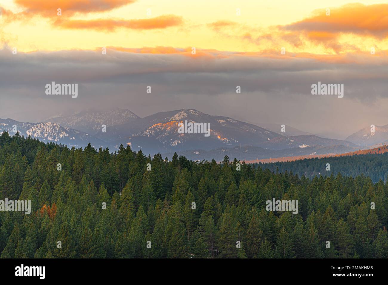 Teanaway Washington State Forest Birds And Rivers Teanaway Community