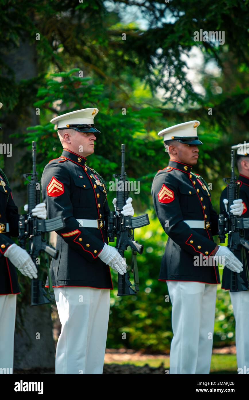U.S. Marines from 6th Marine Regiment, 2d Marine Division and perform a ...