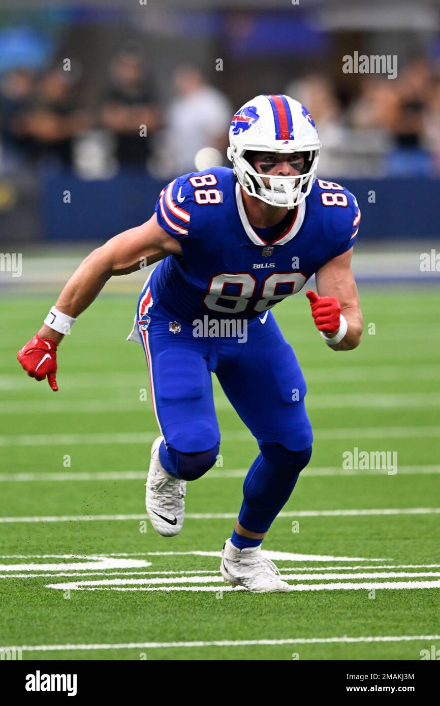 Buffalo Bills tight end Tommy Sweeney (89) plays during an NFL football ...