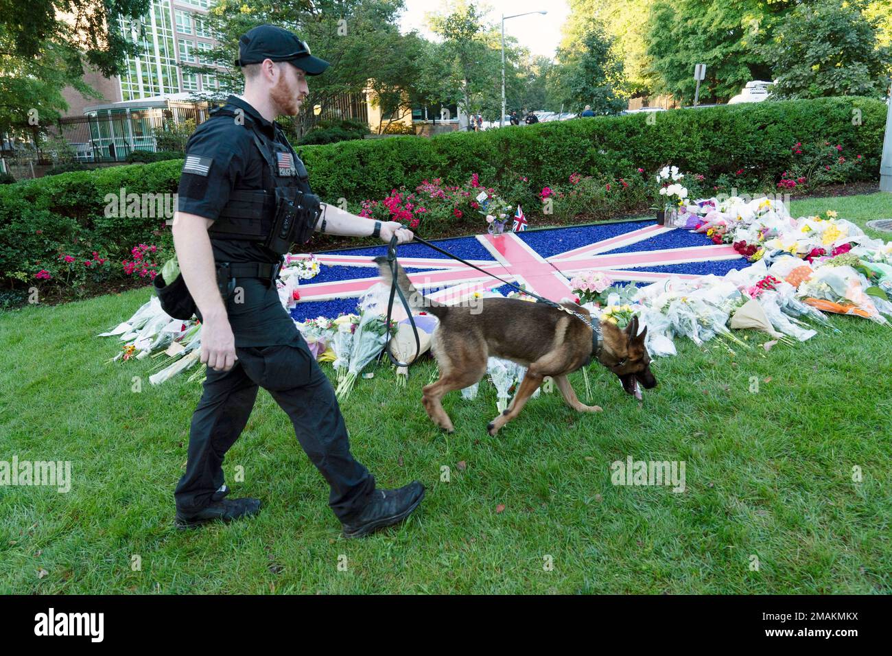A police officer works with his security dog outside of the British ...