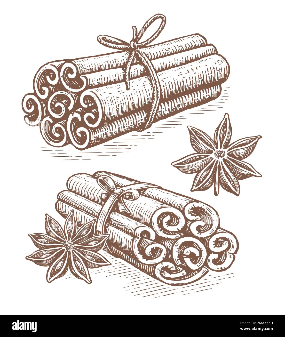 Hand drawn cinnamon sticks tied with a rope, anise stars. Food, spices ...
