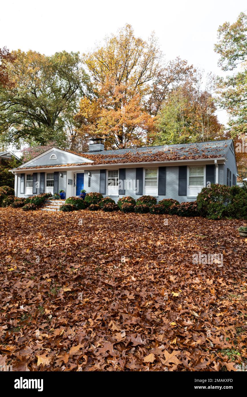 Deep view of residential home and yard covered in a thick layer of ...