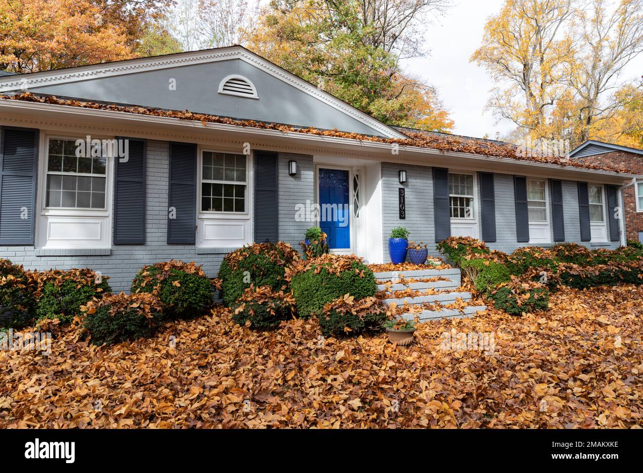 Fall leaves covering a suburban brick ranch house, yard, and bushes ...