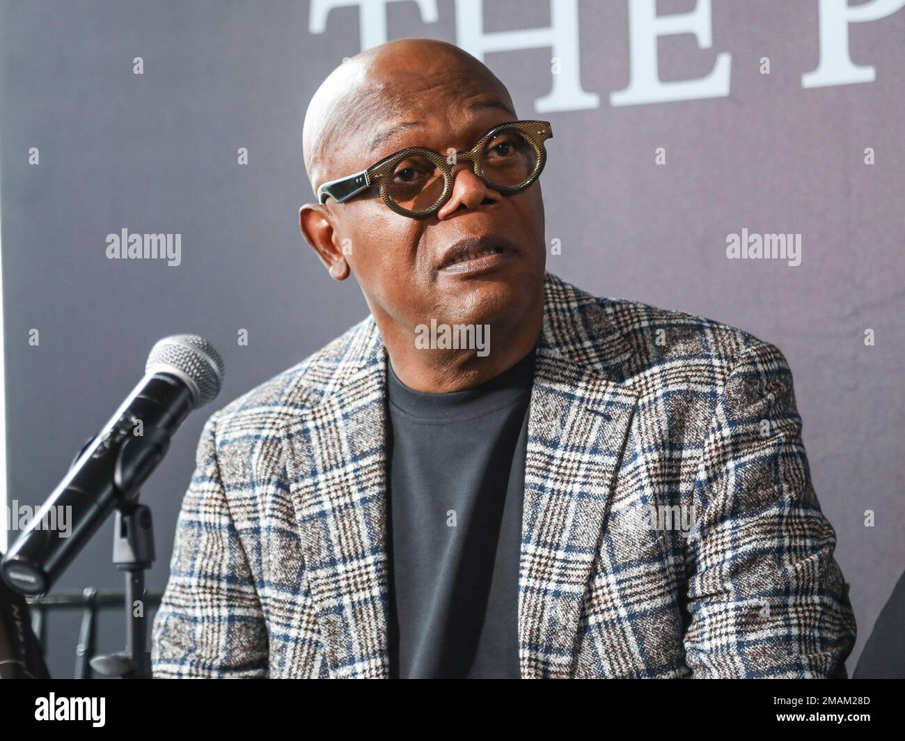 Actor Samuel L. Jackson attends a press conference for "The Piano ...