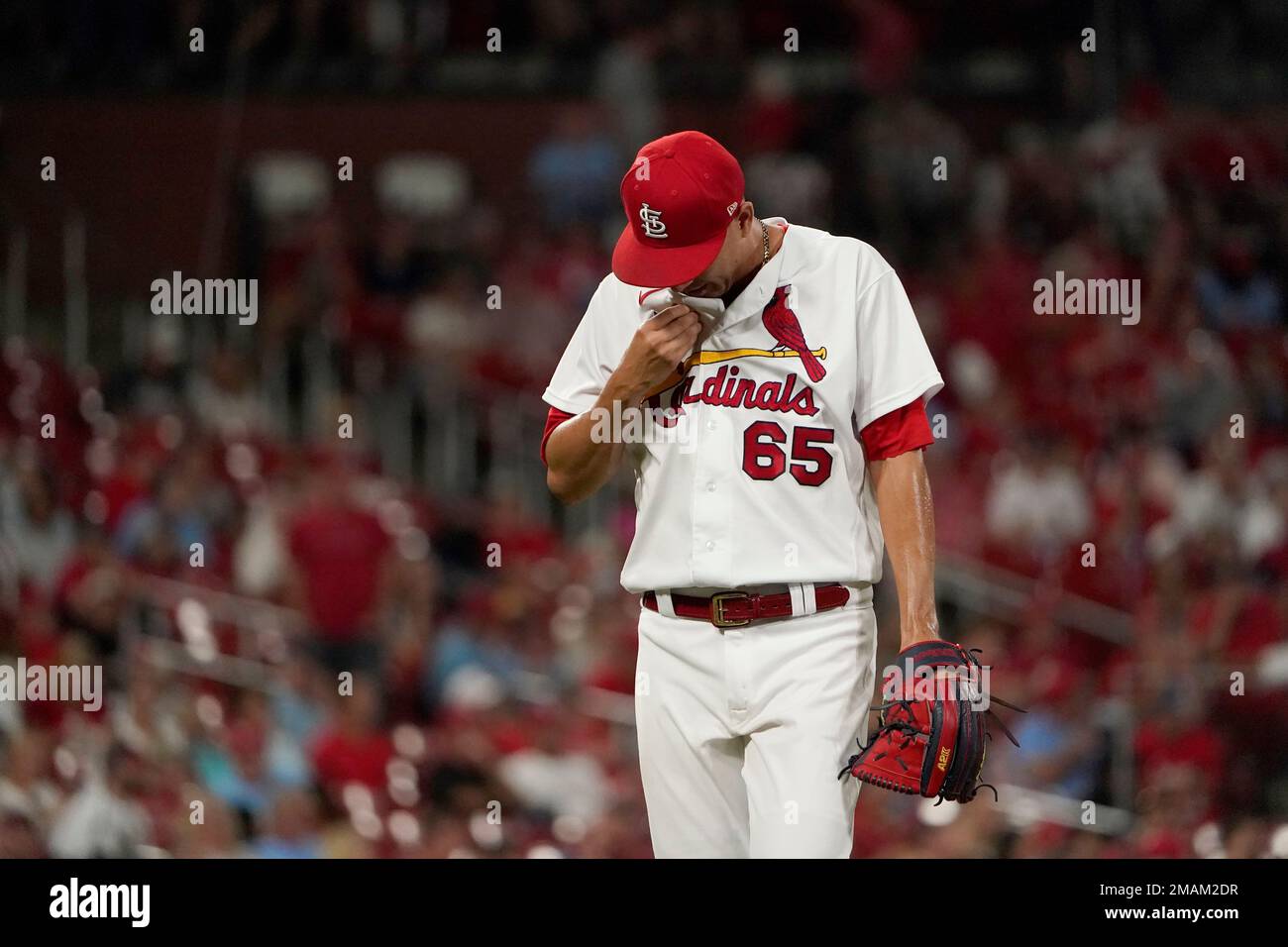 St. Louis Cardinals relief pitcher Giovanny Gallegos walks off the ...