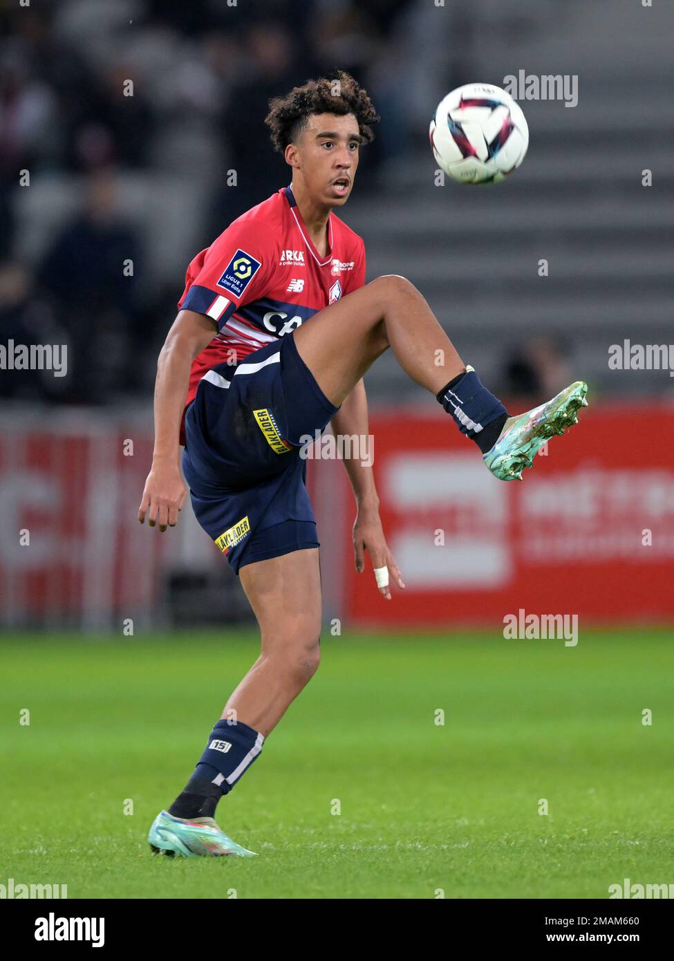 Leny van hi-res stock photography and images - Alamy