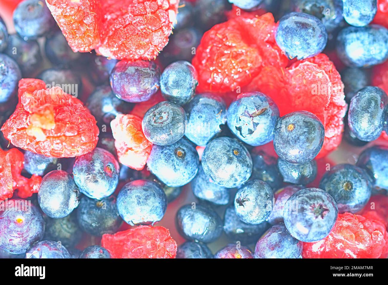 Frozen fresh blueberries and raspberries, close-up. Close-up view of ...