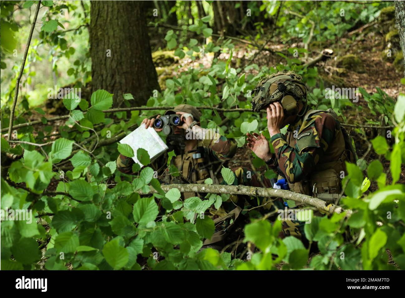 Forward Observers from the Belgium Armed Forces coordinate with joint ...