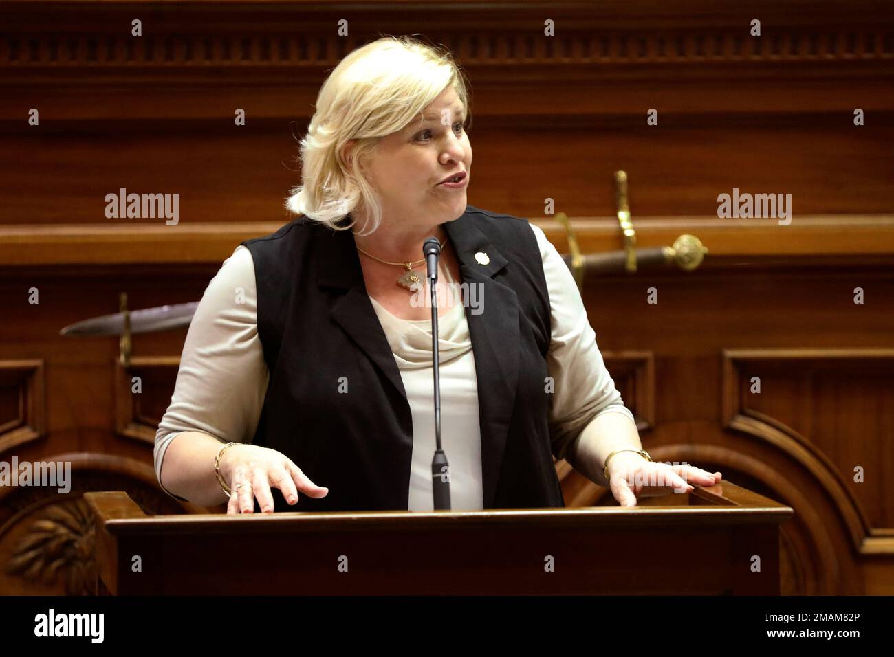 Republican South Carolina Sen. Penry Gustafson speaks about a bill ...