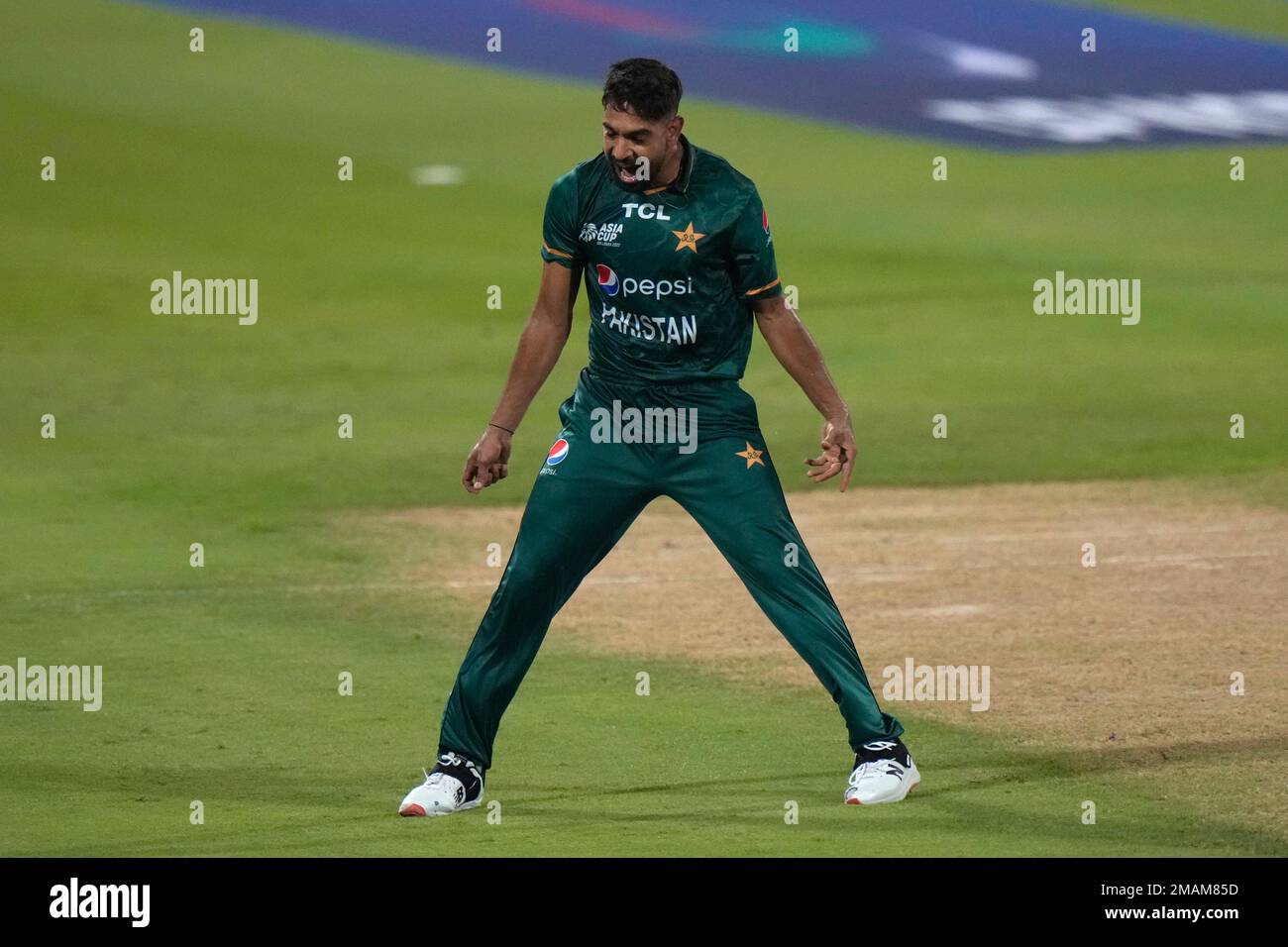 Pakistan's Haris Rauf celebrates the dismissal of Afghanistan's Ibrahim ...