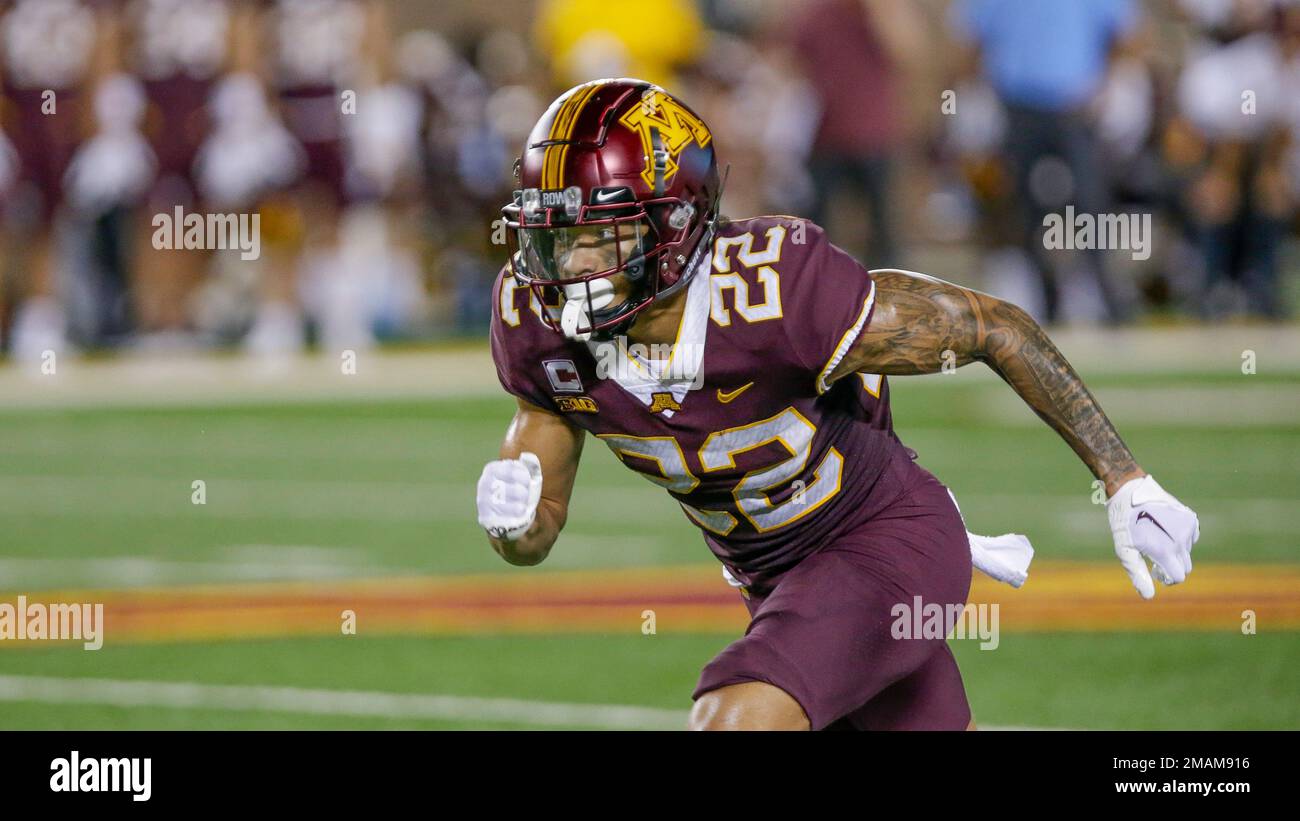 Minnesota wide receiver Michael Brown-Stephens plays during an NCAA ...